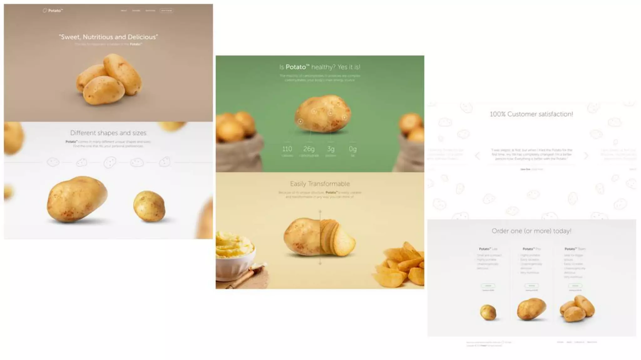 15 Great Landing Page Examples on Dribbble | PPTX