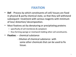 15 histotechniques 1 | PPT