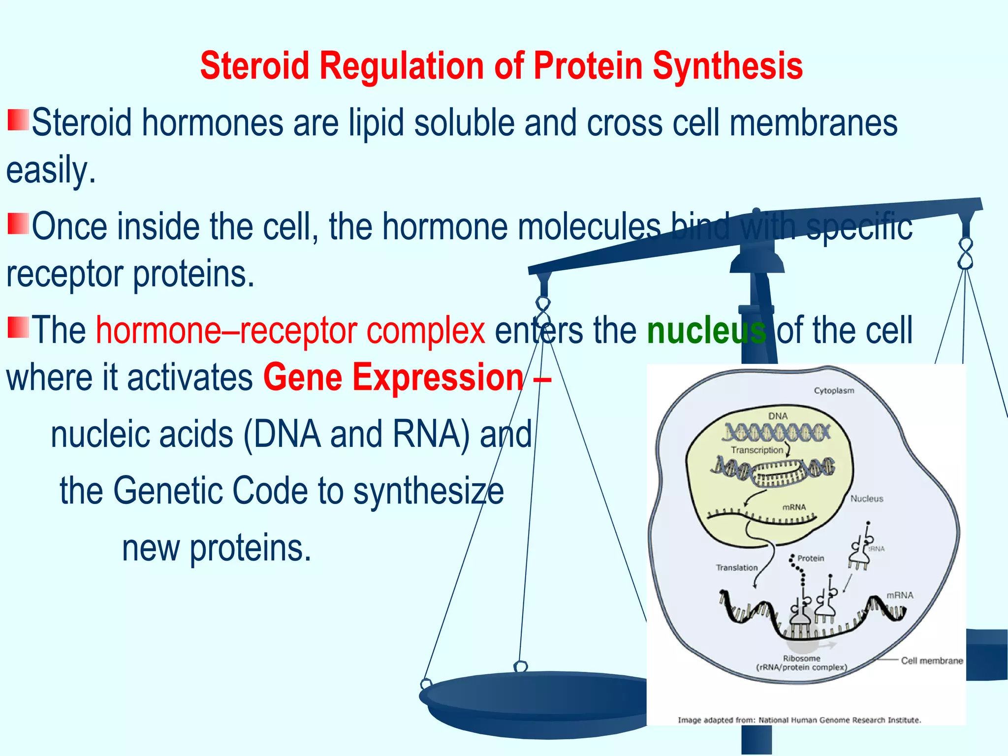 Pharmacology of drugs used in Endocrine Disorders | PPT