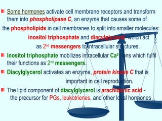 Pharmacology of drugs used in Endocrine Disorders | PPT
