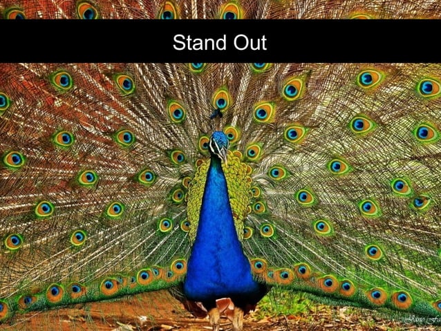 Don't manage time... Fold Time: 15 ideas on how to Fold Time | PPT