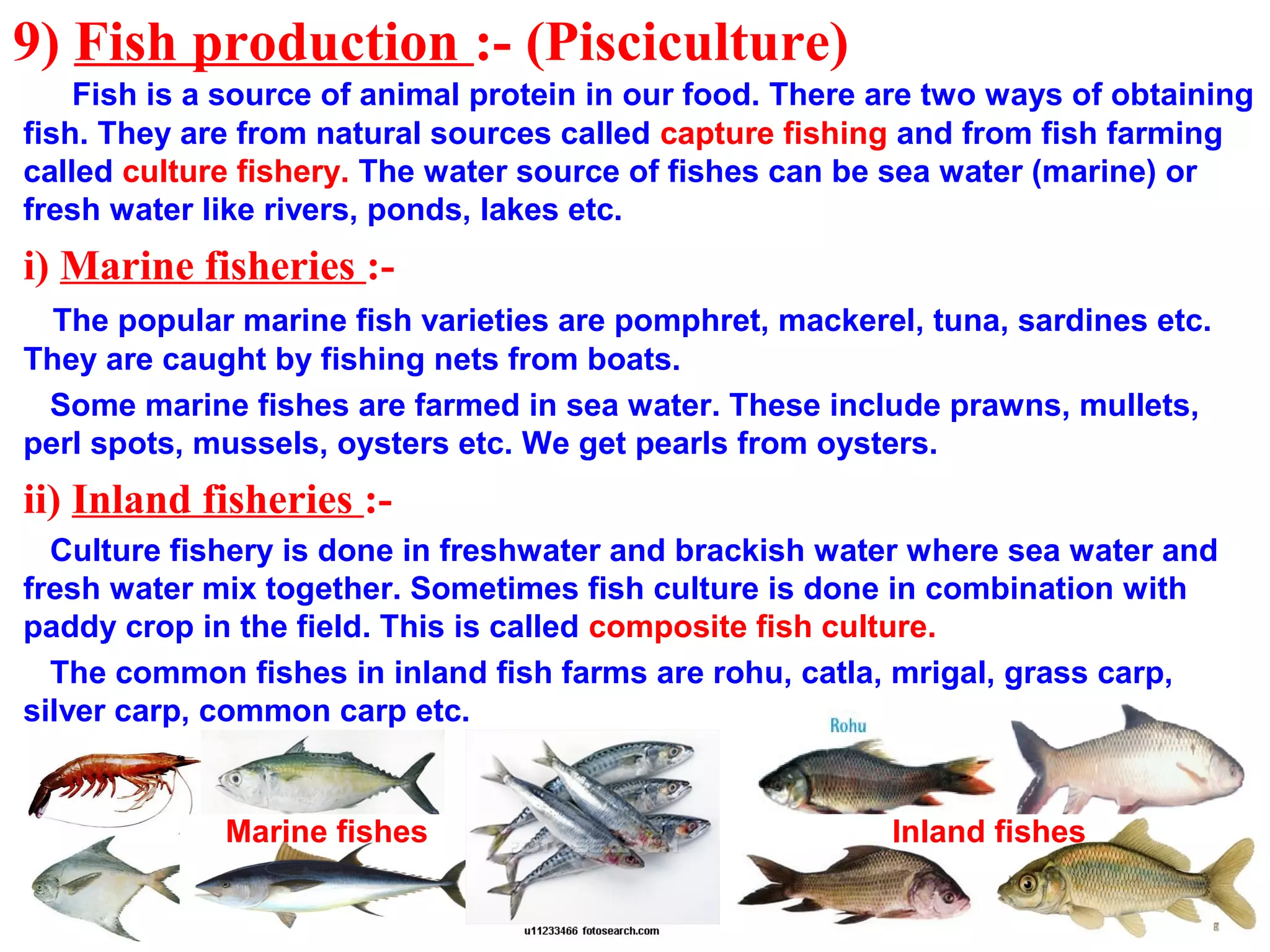 improvement in food resources | PPT