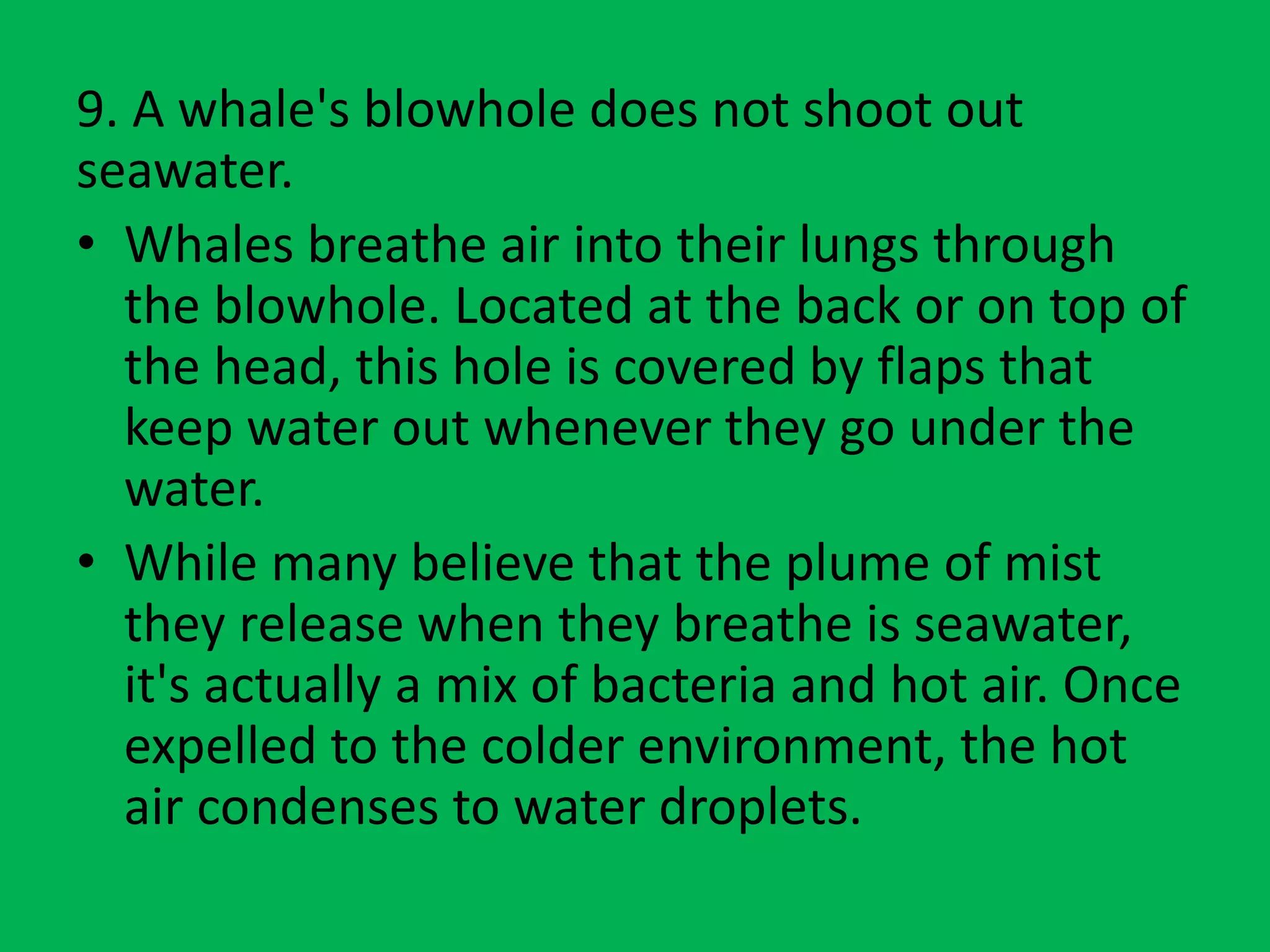 15 interesting facts abouts whales.pptx