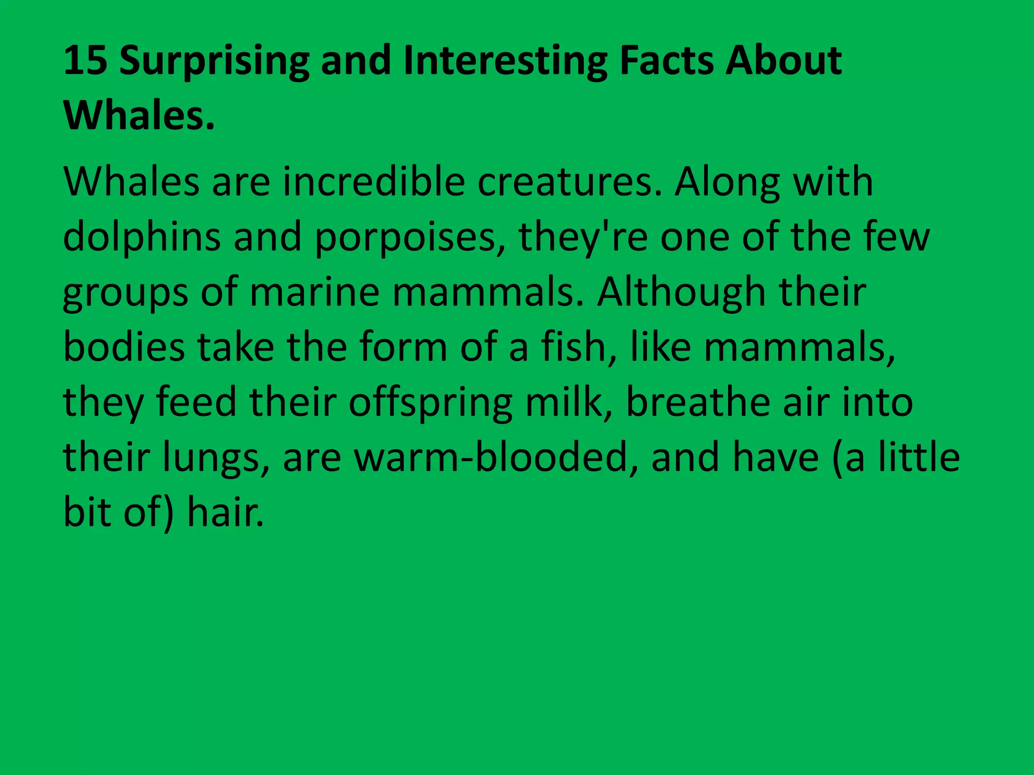 15 interesting facts abouts whales.pptx