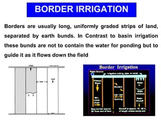 Irrigation.ppt
