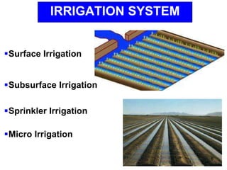 Irrigation.ppt