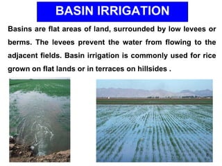 Irrigation.ppt