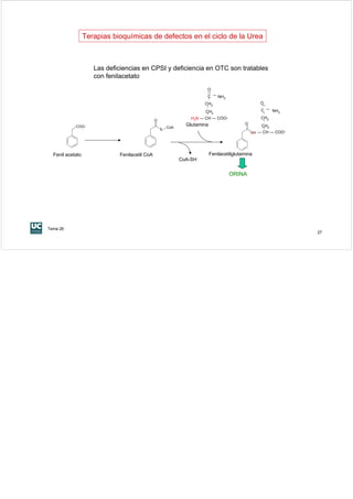 Metabolismo Grupo Amino Aminoacidos Pdf