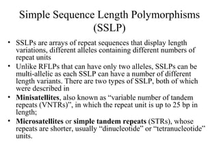 15 molecular markers techniques | PPT