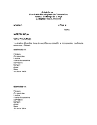 morfologia hoja | PDF