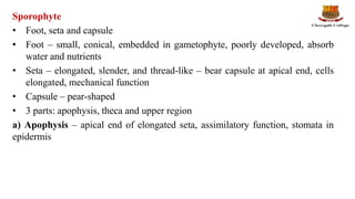 Morphology, anatomy and reproduction in Funaria | PPTX