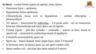 Morphology, anatomy and reproduction in Funaria | PPTX
