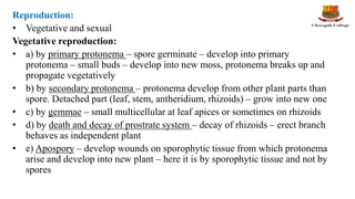 Morphology, anatomy and reproduction in Funaria | PPTX