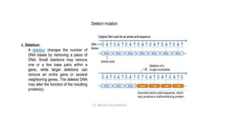 DPT - Mutations and its causes | PPTX