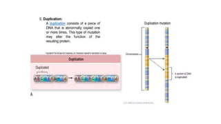 DPT - Mutations and its causes | PPTX