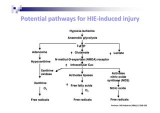 Therapeutic hypothermia for neonatal hypoxic-ischemic encephalopathy | PPT