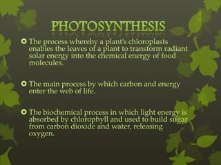 15 photosynthesis | PPTX