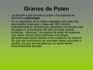 Polen | PPTX