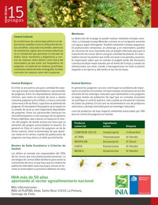 Pulgón en tomate | PDF