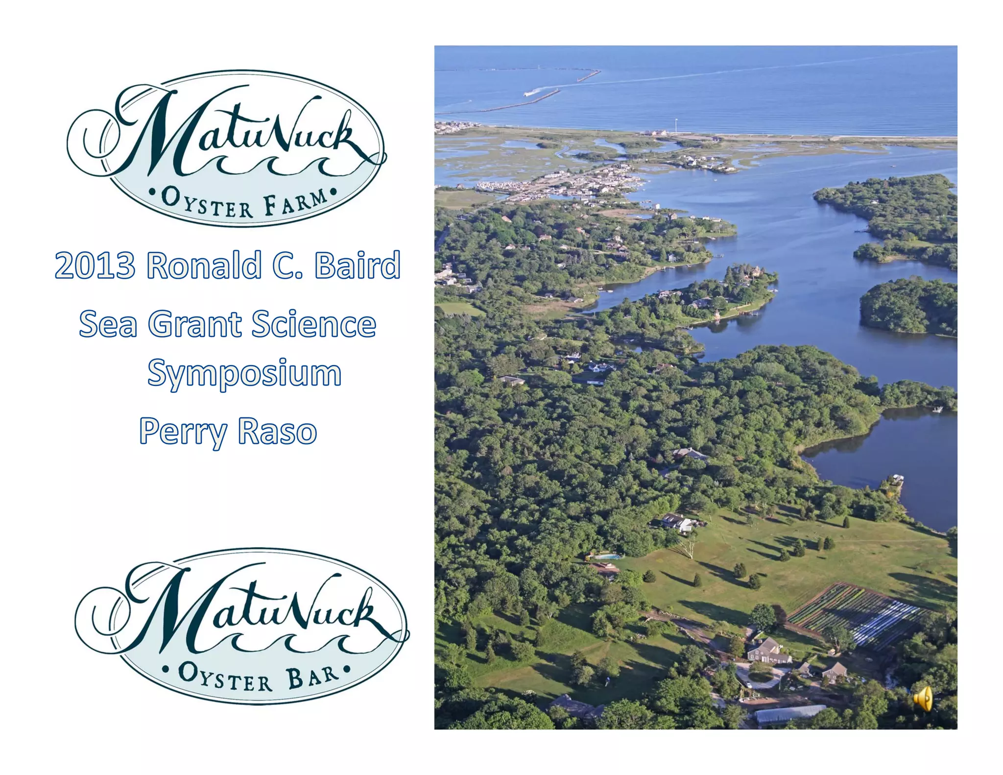 Perry Raso, Baird Symposium | PDF
