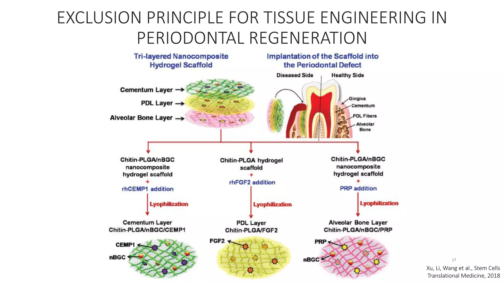 Regenerative Periodontal Surgery | PPTX