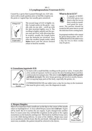 15 reproductive system | PDF