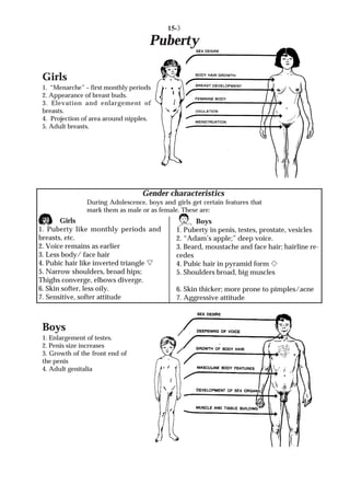 15 reproductive system | PDF
