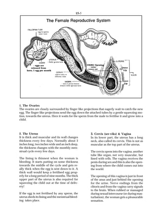 15 reproductive system | PDF