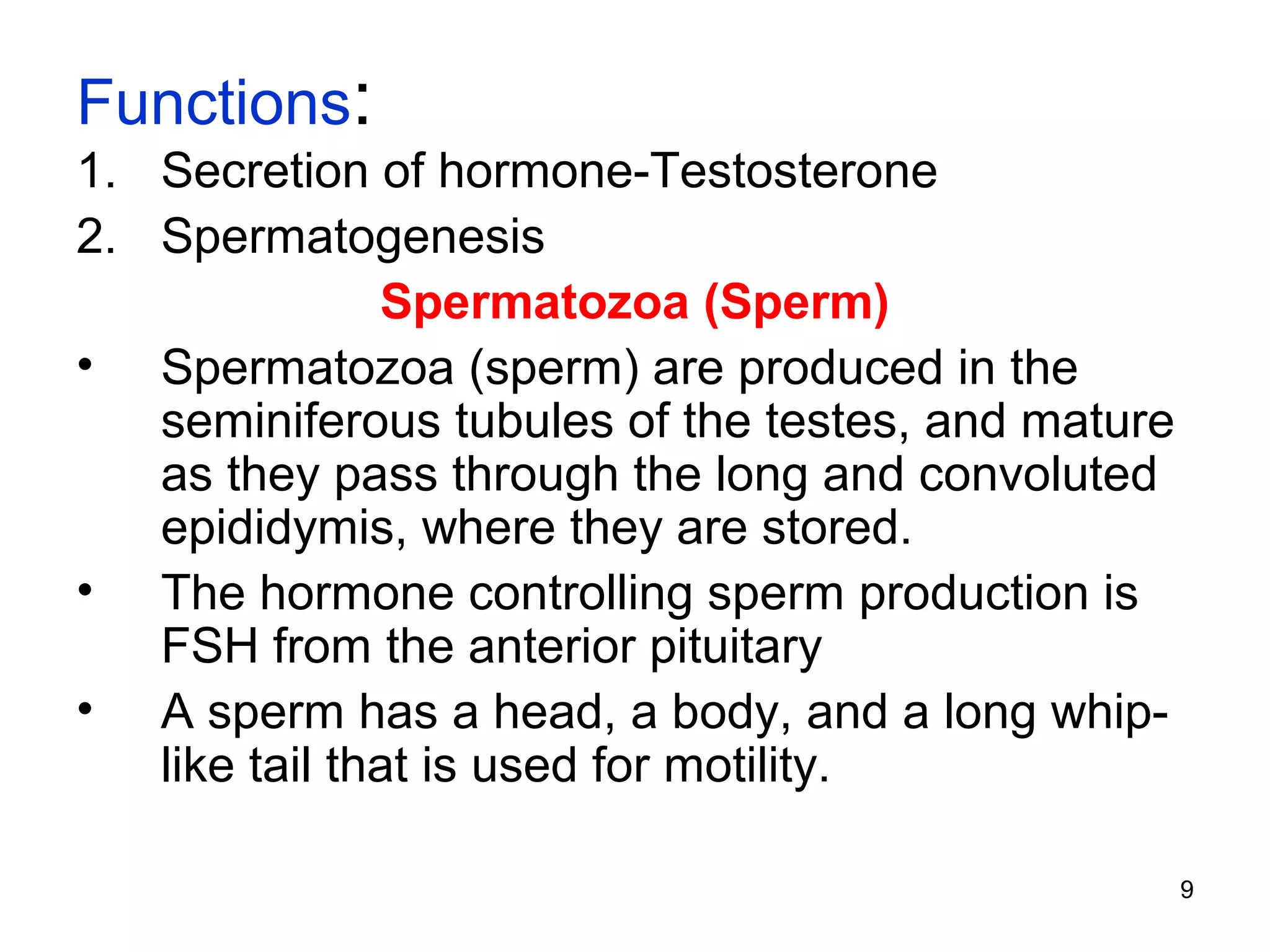 15 reproductive system | PPT