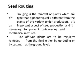 15 Seed classes identification and classification | PPT