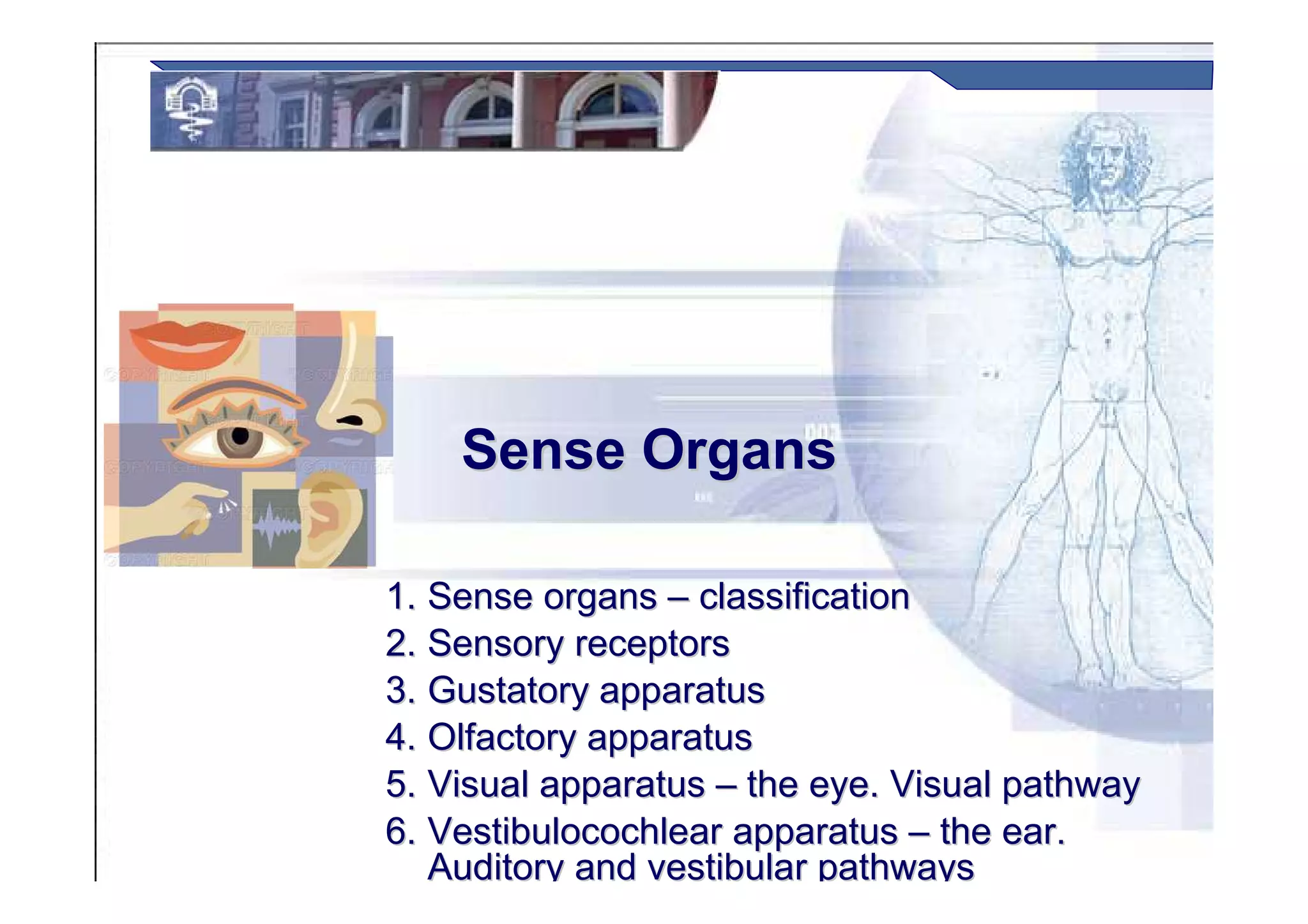 Human sense organs | PDF