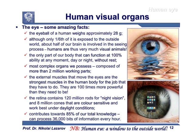 Human sense organs | PDF | Eye and Vision Conditions | Diseases and Conditions