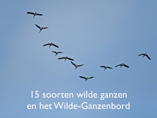 15 soorten wilde ganzen en Wilde-Ganzenbord | PDF