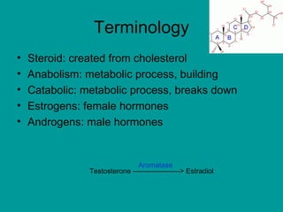 Neuropharmacology: Anabolic Steroids | PPT