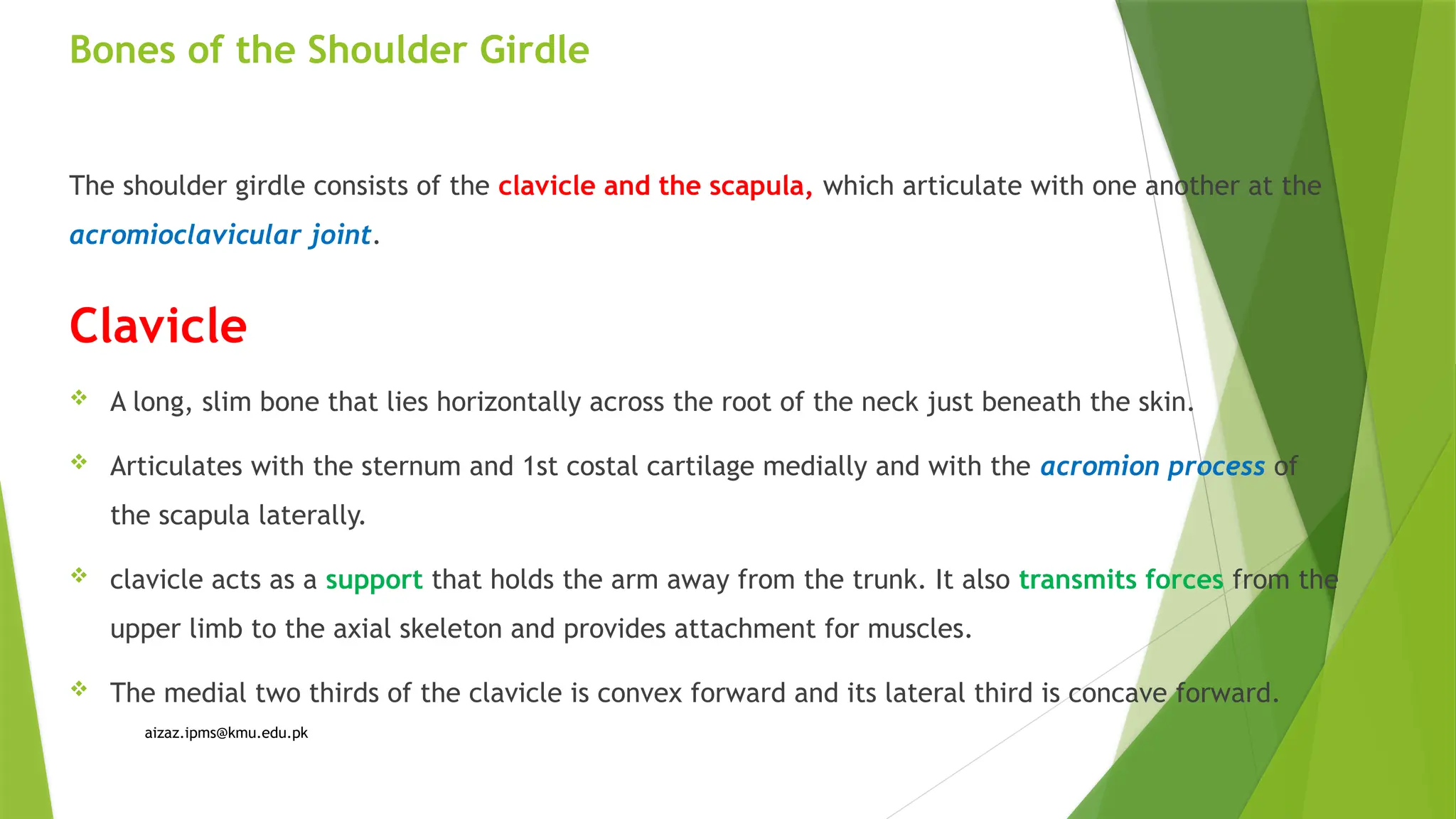 15 The Bones of shoulder girdle . . . . . . | PPTX