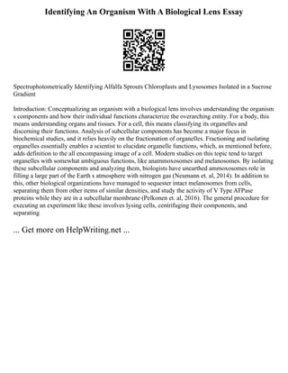 15 Thesis Statement Examples To Inspire Your | PDF