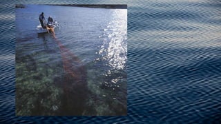 Batana ecomuseum project – Case study presented by Tamara Nikolic Deric ...