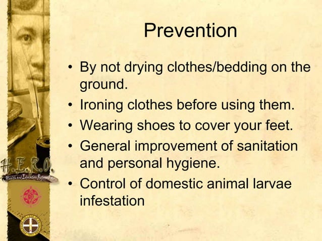 15 Tumbu fly larva.power point prensation | PPT