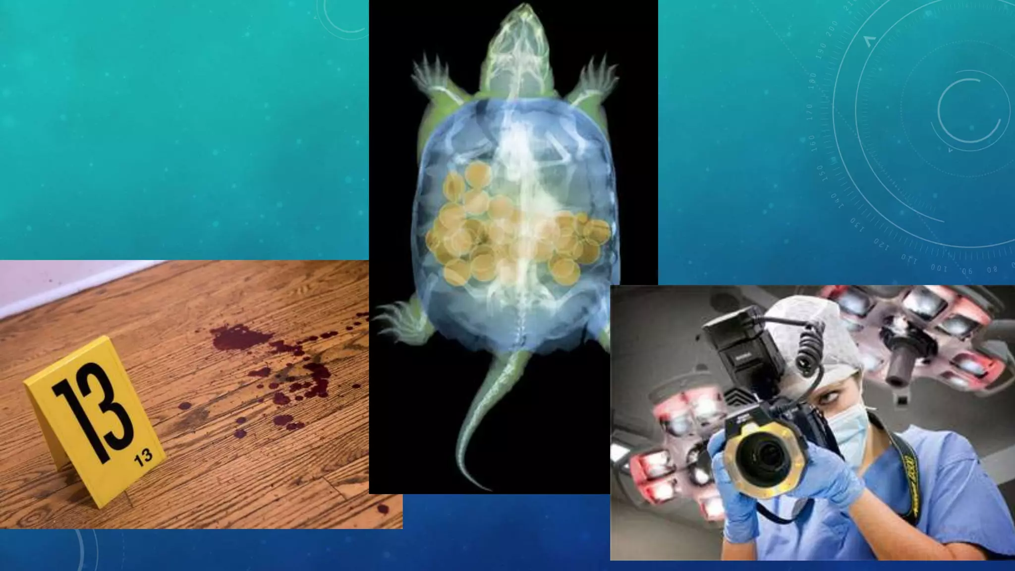 15 types of photography genres you can pursue | PPTX