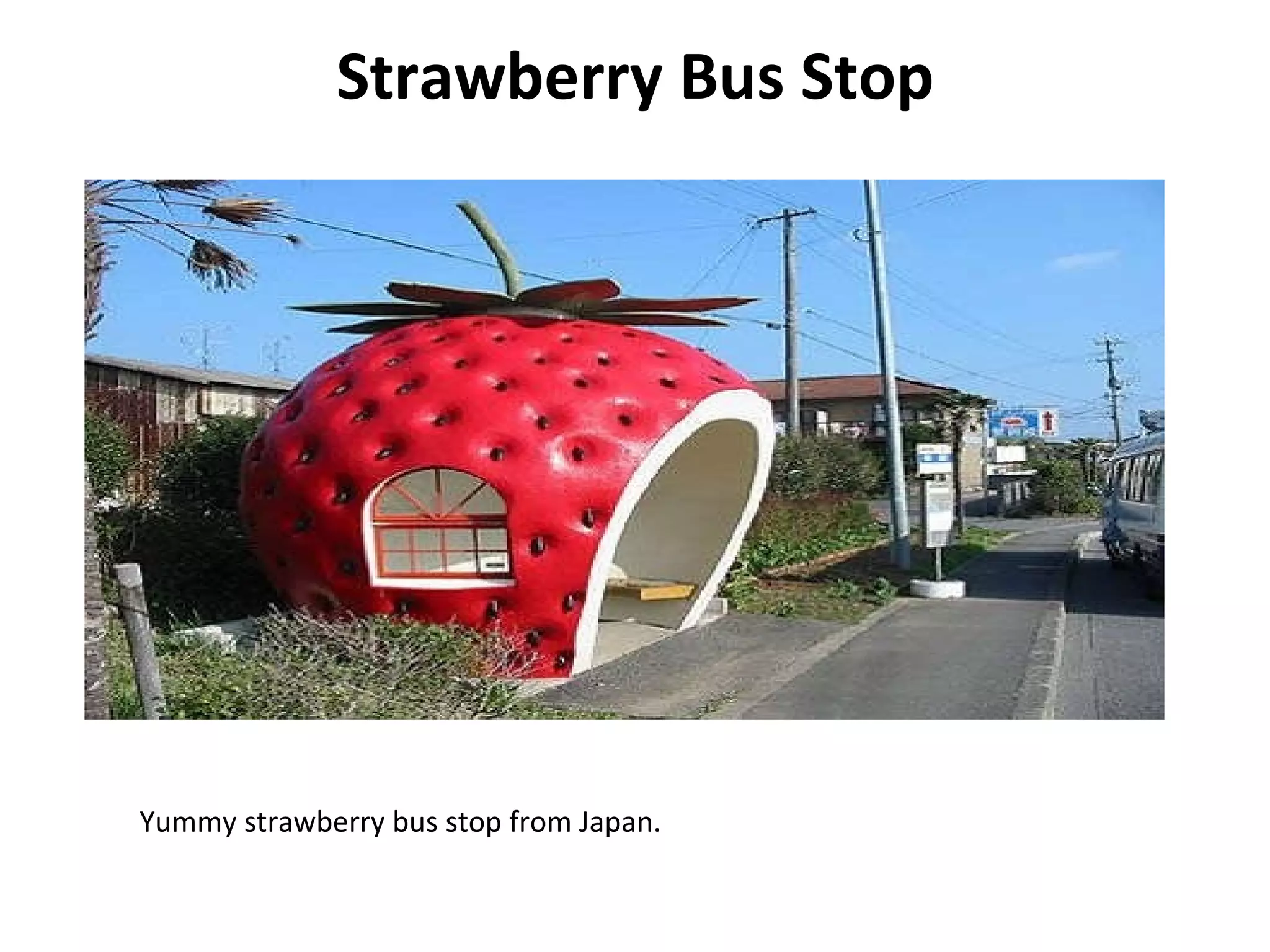 15 unusual and creative bus stops | PPT