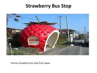 15 unusual and creative bus stops | PPT | South America Travel | Travel ...