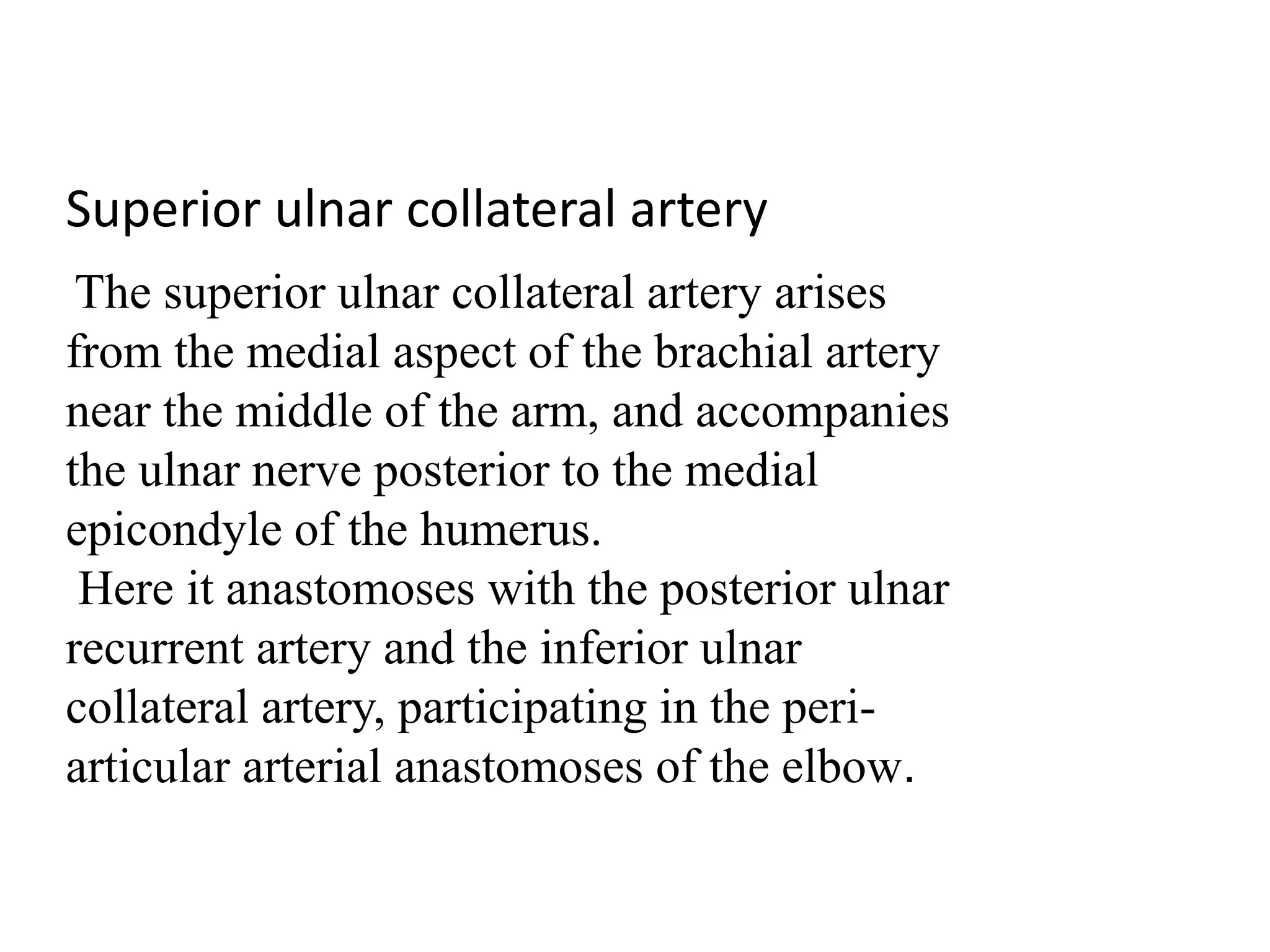 15 Vascular anatomy of the upper limb2010 (2).ppt