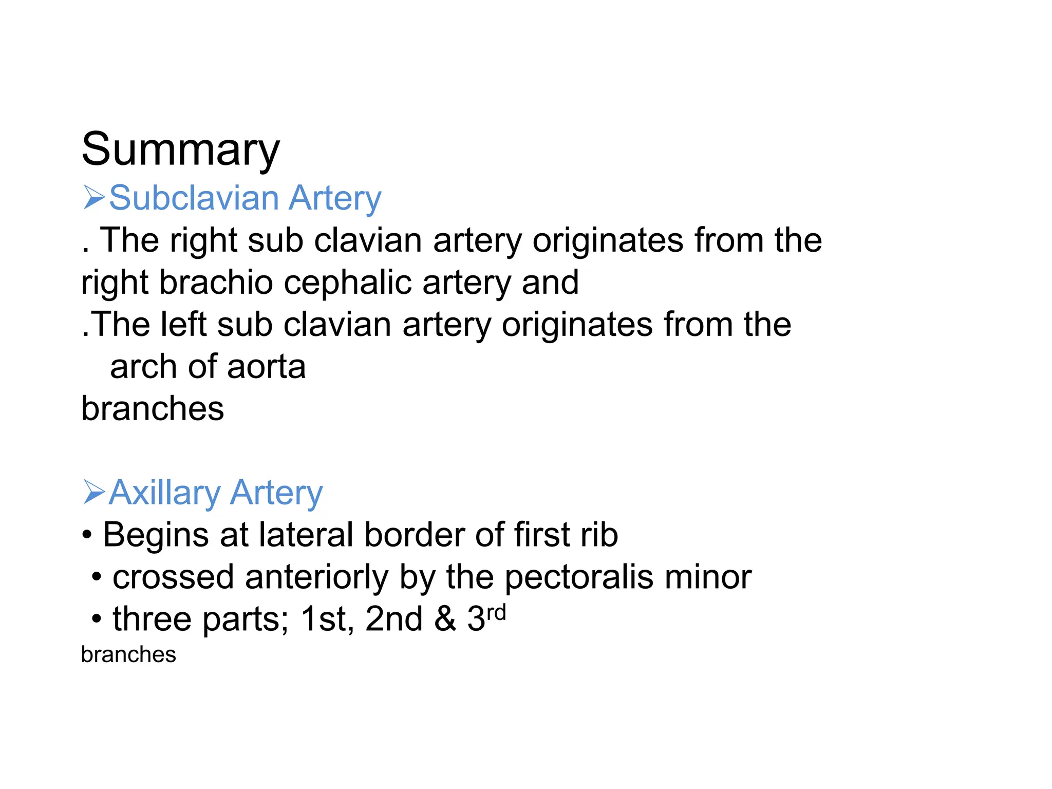 15 Vascular anatomy of the upper limb2010 (2).ppt