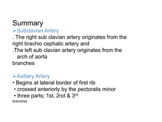 15 Vascular anatomy of the upper limb2010 (2).ppt