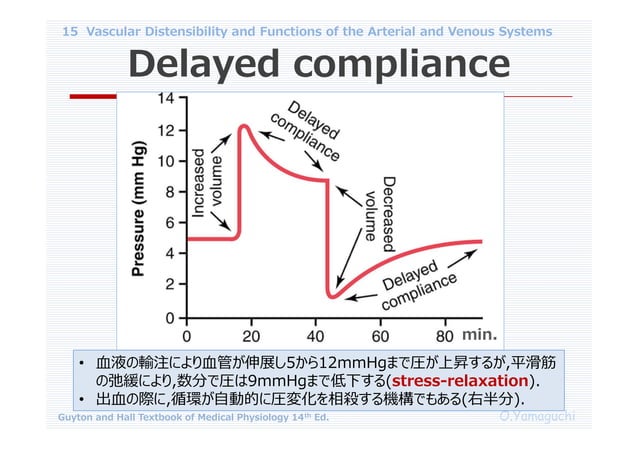 15 vascular distensibility and functions of the arterial and venous ...