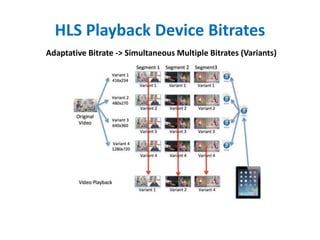 Multimedia Streaming Architecture | PPTX | Digital Audio | Computer Software and Applications