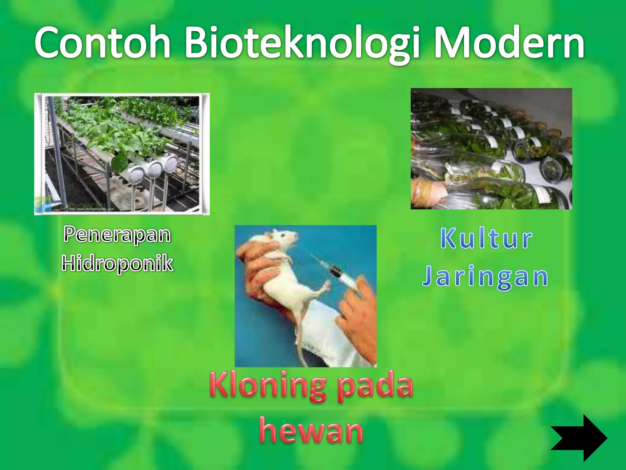 Presentasi Bioteknologi | PPTX