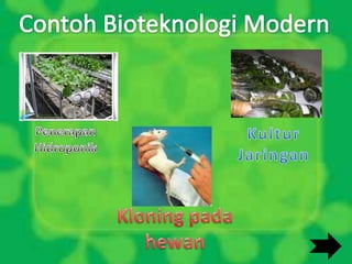 Presentasi Bioteknologi | PPTX