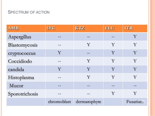 16. antifungal