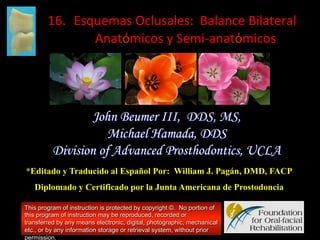 16. oclusion anatomica y semi anatomica | PDF